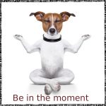 7 Ways To Keep Writing When You Feel Like Giving Up | WTD